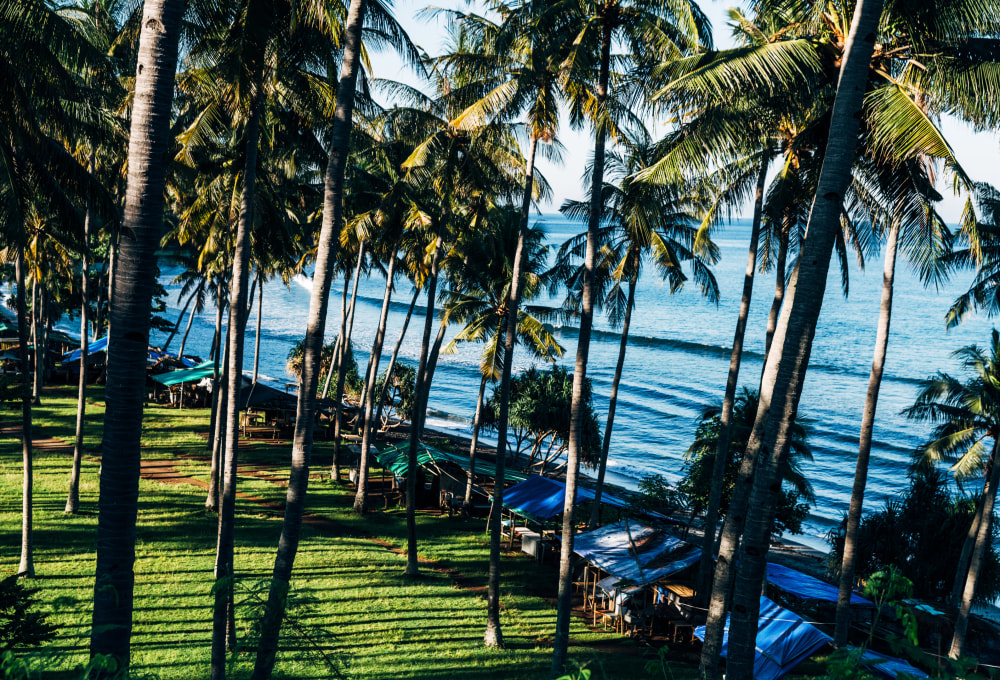 Freiwilligenarbeit - Meeresschildkröten-Projekt auf Lombok - wayers